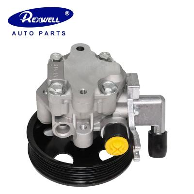 Cina 57100-2E300 57100-2E200 57100-2F200 Pompa olio servosterzo per auto Hyundai Tucson 2006-2009 in vendita