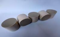China Particulate Filter Petrol Catalyst 300 CPSI for sale