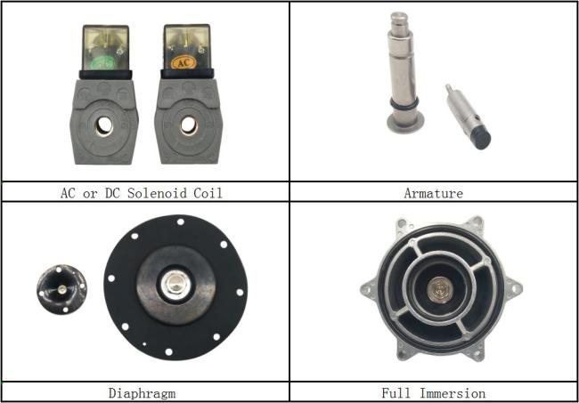 Details About CA62MM Electromagentic Solenoid Pulse Valve: