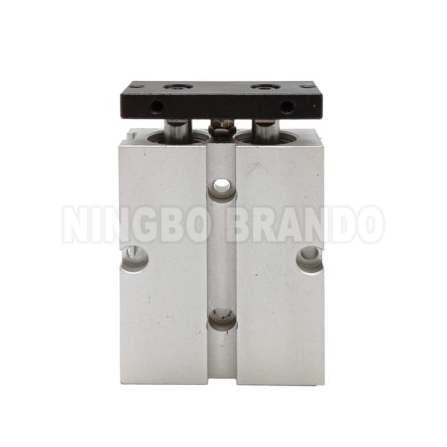 Pneumatic Twin Rod Cylinder (5)