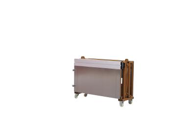 Cina La Tabella di scivolamento portatile della falegnameria ha visto per il bordo di Partical o del MDF in vendita