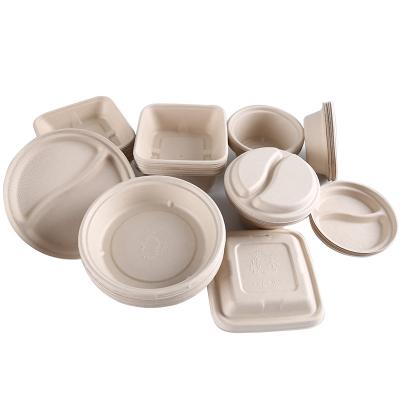 China Salade Biologisch afbreekbare Vetvrije Tarwe Straw Packaging Te koop