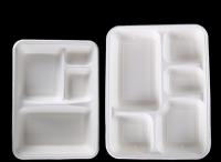 China Rectangular Disposable Harmless Bio Takeaway Containers for sale