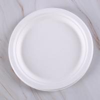China Lightweight Restaurant Disposable Sugarcane Pulp Plates Convenient for sale