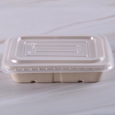 Cina Grano biodegradabile Straw Fruit Pulp Food Containers dello SGS con il coperchio in vendita