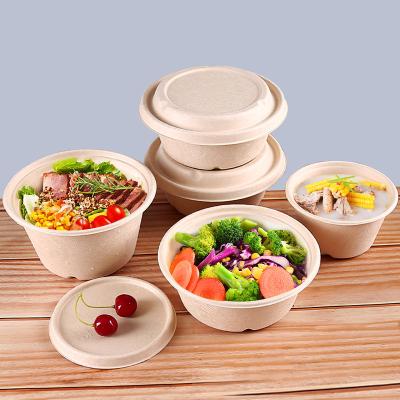 China Salade Biologisch afbreekbare Vetvrije Tarwe Straw Packaging Te koop