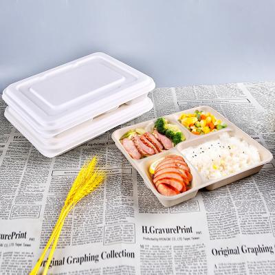 Cina Contenitori di alimento da portar via della polpa in vendita