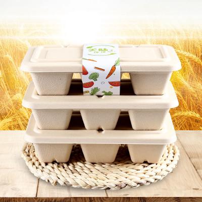 Cina Contenitori di alimento a perfetta tenuta inoffensivi della polpa di 45mm in vendita