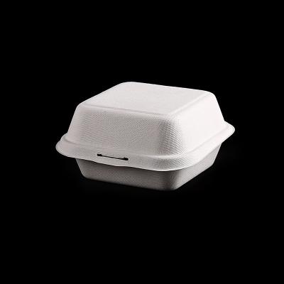 China Vetvrije Meeneem Biologisch afbreekbare Clamshell-Containers Te koop