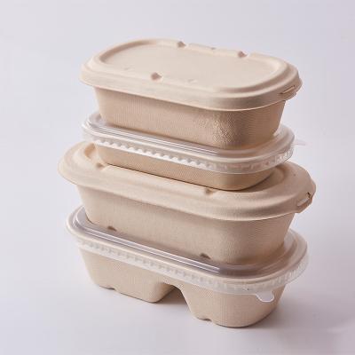 China Contenedores portátiles amistosos de comida del bagazo 24oz de Eco en venta