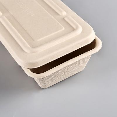 Cina Scatola di pranzo biodegradabile asportabile della bagassa della bevanda in vendita