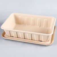 China Desechable Microwavable Sugarcane Disposable Containers for sale