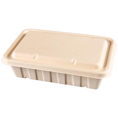 Cina Scatola di pranzo concimabile amichevole riciclata dell'OEM 2500ml di Eco in vendita