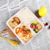 China Recycle Disposable 28cm Biodegradable Lunch Trays for sale