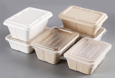 China Composteerbare Vriendschappelijke Vetvrije de Bagasse Meeneemdozen van Eco Te koop