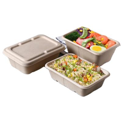 China Composteerbare Vriendschappelijke Vetvrije de Bagasse Meeneemdozen van Eco Te koop