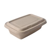 China TUV Microwavable 3 Compartment Biodegradable Food Boxes for sale