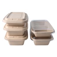China TUV Microwavable 3 Compartment Biodegradable Food Boxes for sale