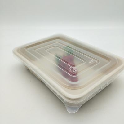 Cina Vassoi Microwavable biodegradabili eliminabili dell'alimento della canna da zucchero in vendita