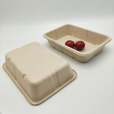 Cina Vassoi Microwavable biodegradabili eliminabili dell'alimento della canna da zucchero in vendita