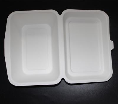 Cina Contenitori di alimento concimabili naturali della bagassa di Refrigerable in vendita