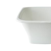 China Disposable Visible Biodegradable Microwavable Food Containers for sale