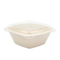 China Microwavable Compostable Disposable Sugarcane Pulp Plates for sale