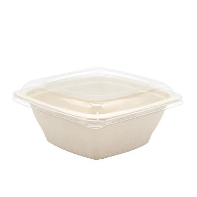 Cina Piatti eliminabili concimabili Microwavable della polpa della canna da zucchero in vendita