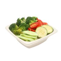 China Microwavable Compostable Disposable Sugarcane Pulp Plates for sale