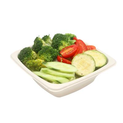Cina Piatti eliminabili concimabili Microwavable della polpa della canna da zucchero in vendita
