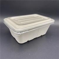 China Environmental Rectangle Biodegradable Bagasse Food Containers for sale