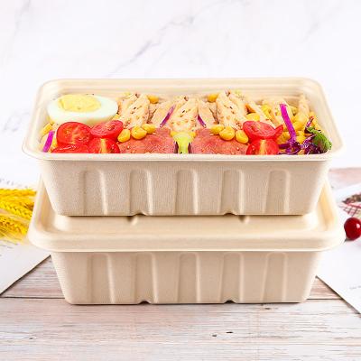 China De Containers van het de Bagassevoedsel van de Microwavablediepvriezer 2500ML met Deksel Te koop