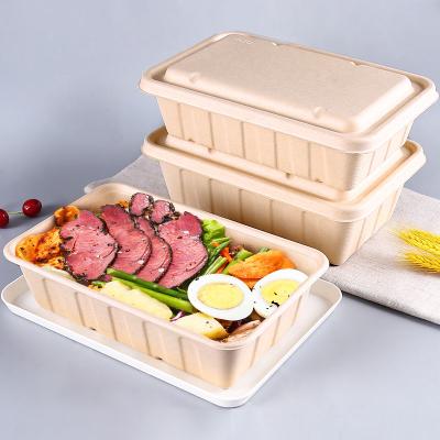 China De Containers van het de Bagassevoedsel van de Microwavablediepvriezer 2500ML met Deksel Te koop