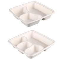 China Recycle Disposable 28cm Biodegradable Lunch Trays for sale