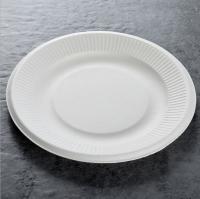 China Lightweight Restaurant Disposable Sugarcane Pulp Plates Convenient for sale
