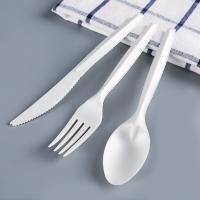 China Individually Wrapped Compostable Disposable Cornstarch Spoon for sale