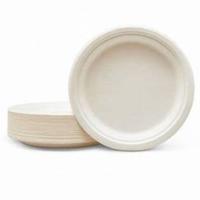 China 2 Compartment Renewable Paper Sugarcane Disposable Plates For Table Serving for sale