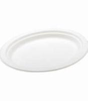 China Multi Compartments 280mm Sugarcane Pulp Plates Compostable Tray for sale
