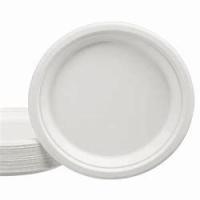 China 3 Compartment Sugarcane Pulp Plates Waterproof  10