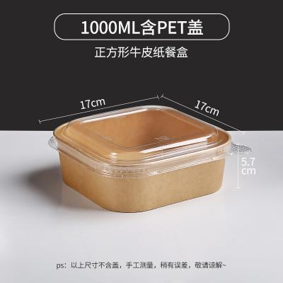 Cina Il quadrato eliminabile modella la scatola di pranzo di carta kraft con il coperchio dell'ANIMALE DOMESTICO per la presa fuori in vendita