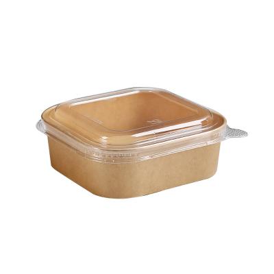 Cina Il quadrato eliminabile modella la scatola di pranzo di carta kraft con il coperchio dell'ANIMALE DOMESTICO per la presa fuori in vendita