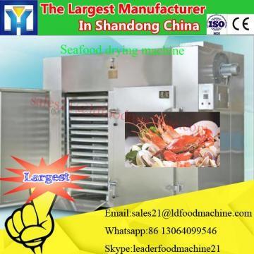 China New Condition and Dehydrator Type tomato drying machine vacuum drying of fruits and vegetables for sale