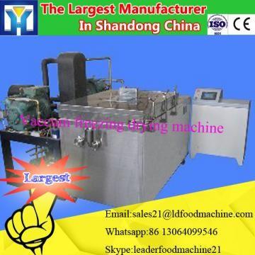 China plantain pineapple slicing machine vegetables and fruits commercial drying equipment for sale