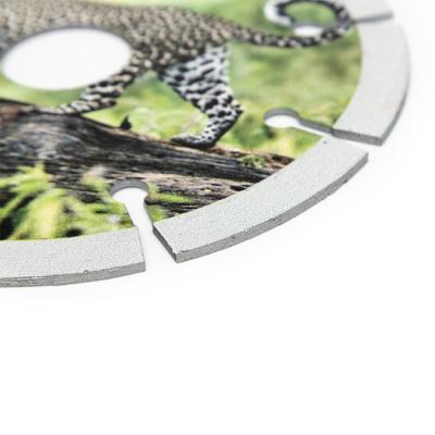 Cina La pressa a caldo ha segmentato la pietra sinterizzata Diamond Saw Blade in vendita