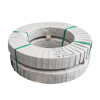 Cina rivestimento No.1 della striscia 0.2mm ss 310 di acciaio inossidabile di 1mm laminato a freddo o su misura in vendita