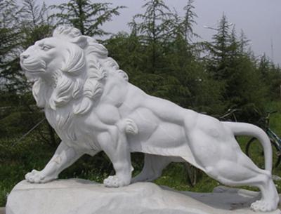 China Garden decoration statues outdoor granite handcarved lions sculptures white colour stone lions for sale