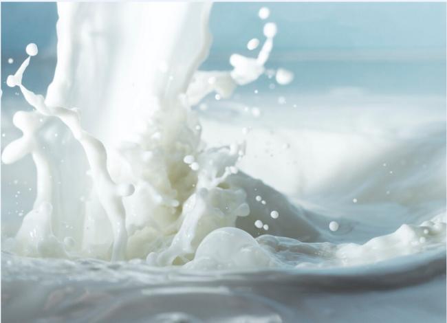 milk1.jpg