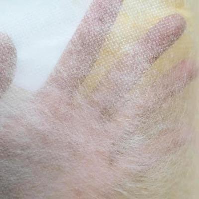 Κίνα Σαφείς ρόλοι τσαντών φίλτρων τσαγιού πολυπροπυλενίου υφαμένοι PLA μη προς πώληση