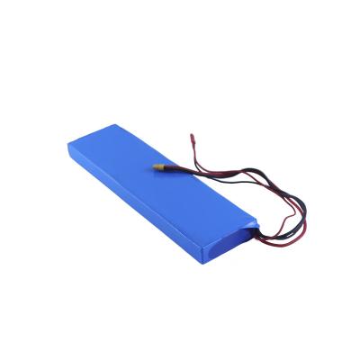 China BMS 24v Lithium Ion Batterij Voor Elektrische Scooter Accu 36v 6.6ah Te koop