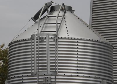 Cina Recipiente dell'alimentazione del silo del pollaio del maiale 40 diametro del tetto 1830mm 3660mm di grado in vendita